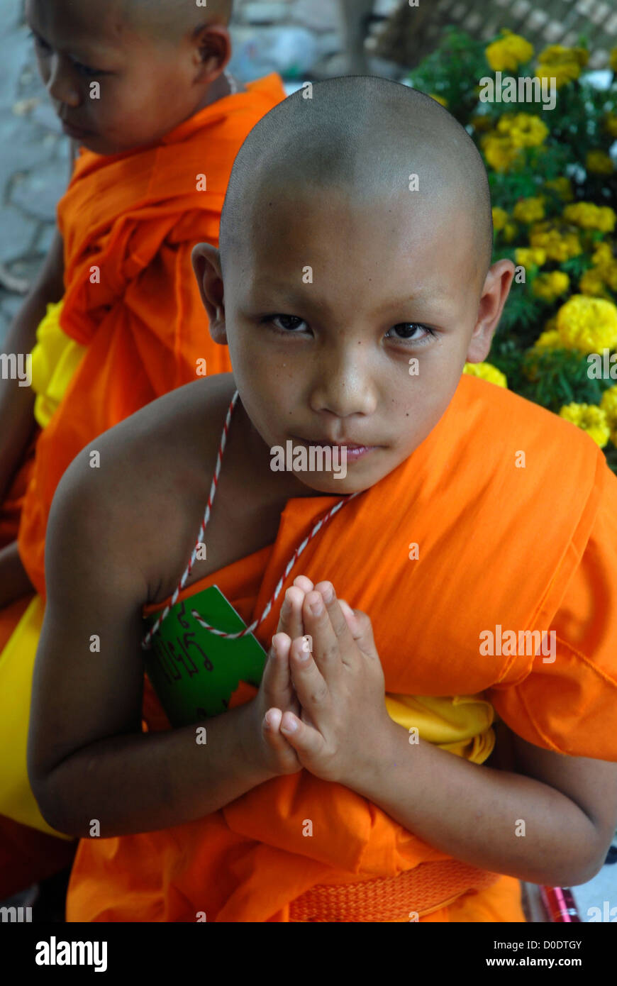Child, Novice,Temple, Wat Srisoda, Monk, Chiang Mai. Thailand, Asia ...