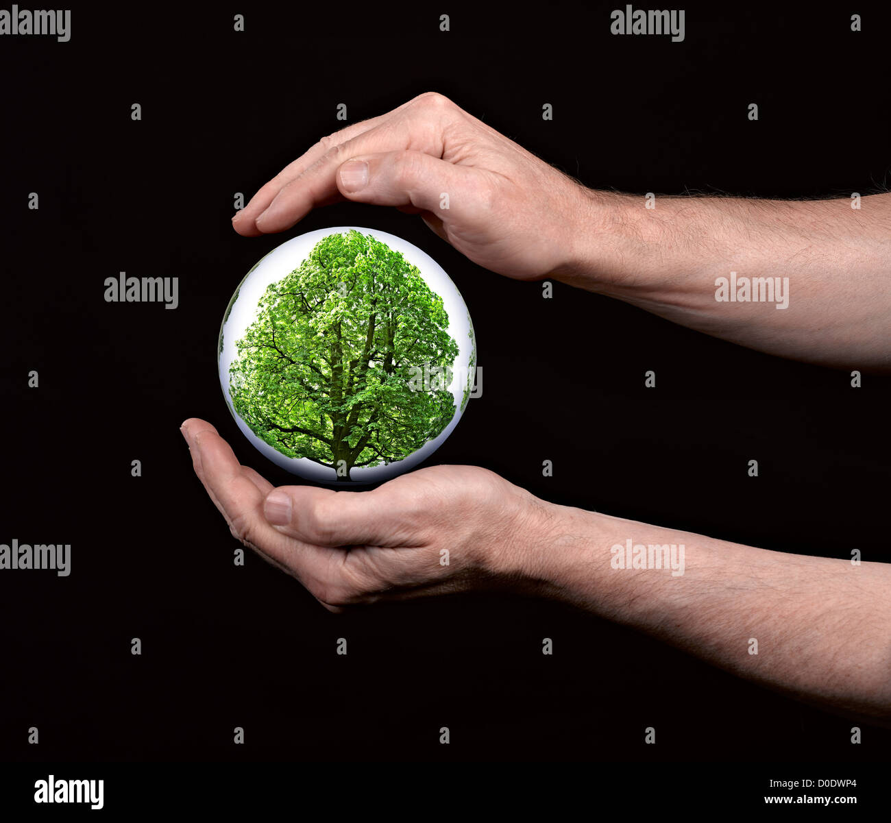 human hands protecting tree Stock Photo - Alamy