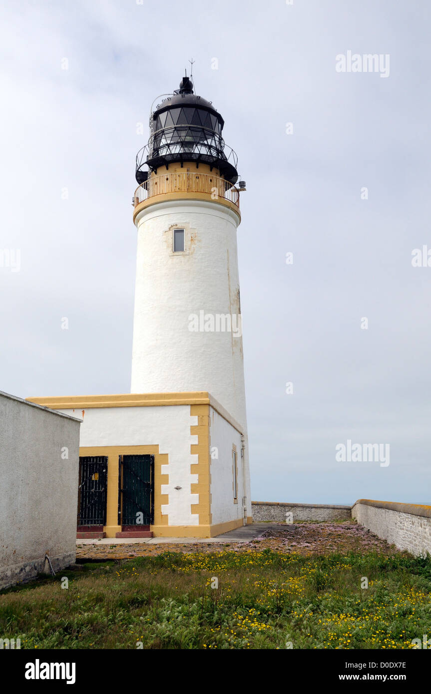 The noup hi-res stock photography and images - Alamy