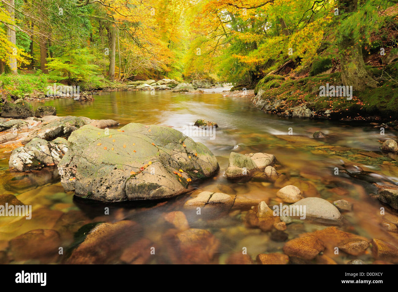 Esk river hi-res stock photography and images - Alamy