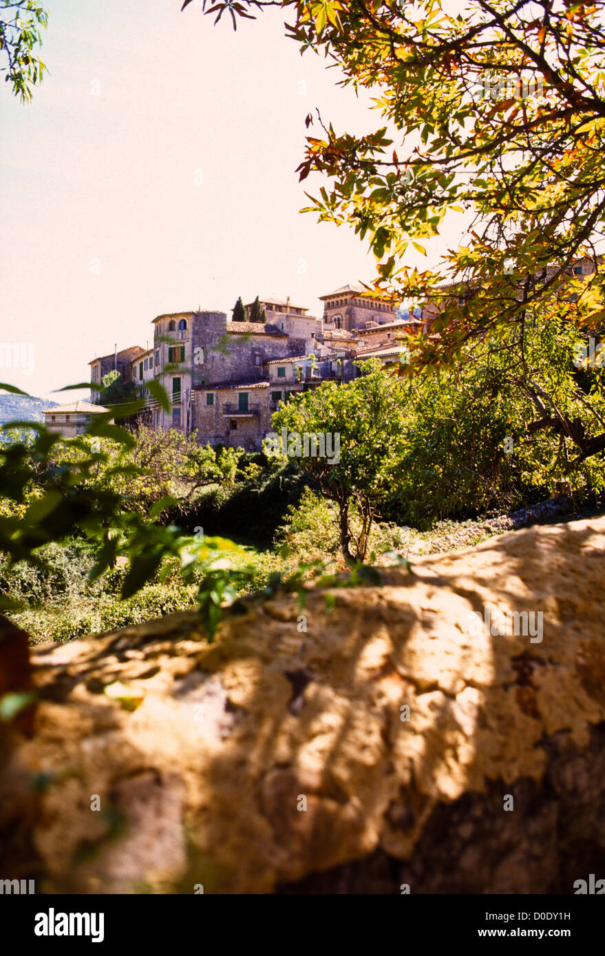 Majorca,Mallorca,Island,Villas,Gardens,Countryside,Olive Groves,Cypress ...