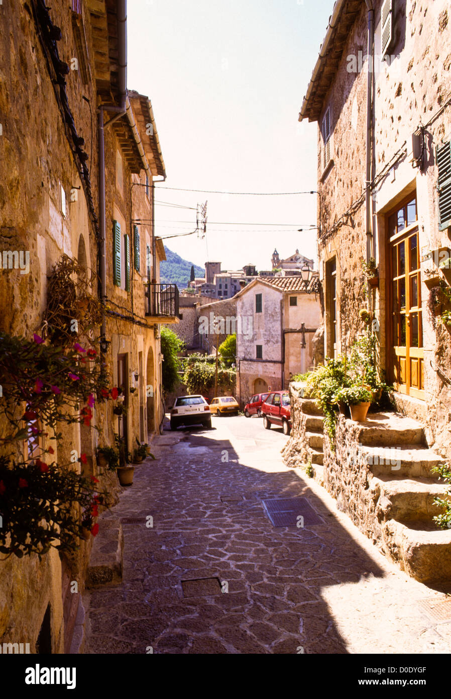 Majorca,Mallorca,Island,Villas,Gardens,Countryside,Olive Groves,Cypress ...