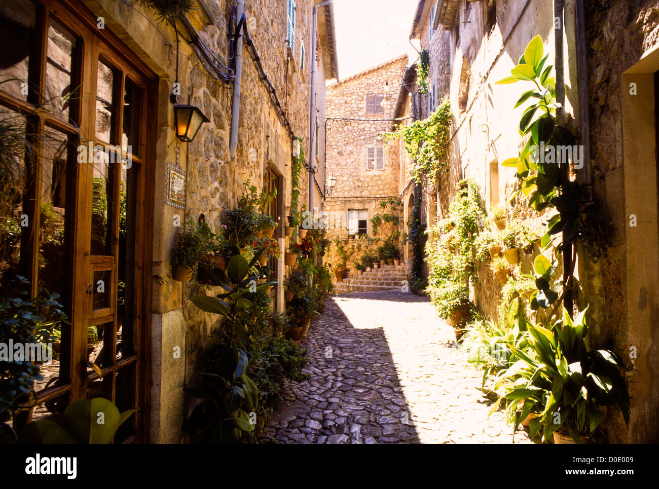 Majorca,Mallorca,Island,Villas,Gardens,Countryside,Olive Groves,Cypress ...