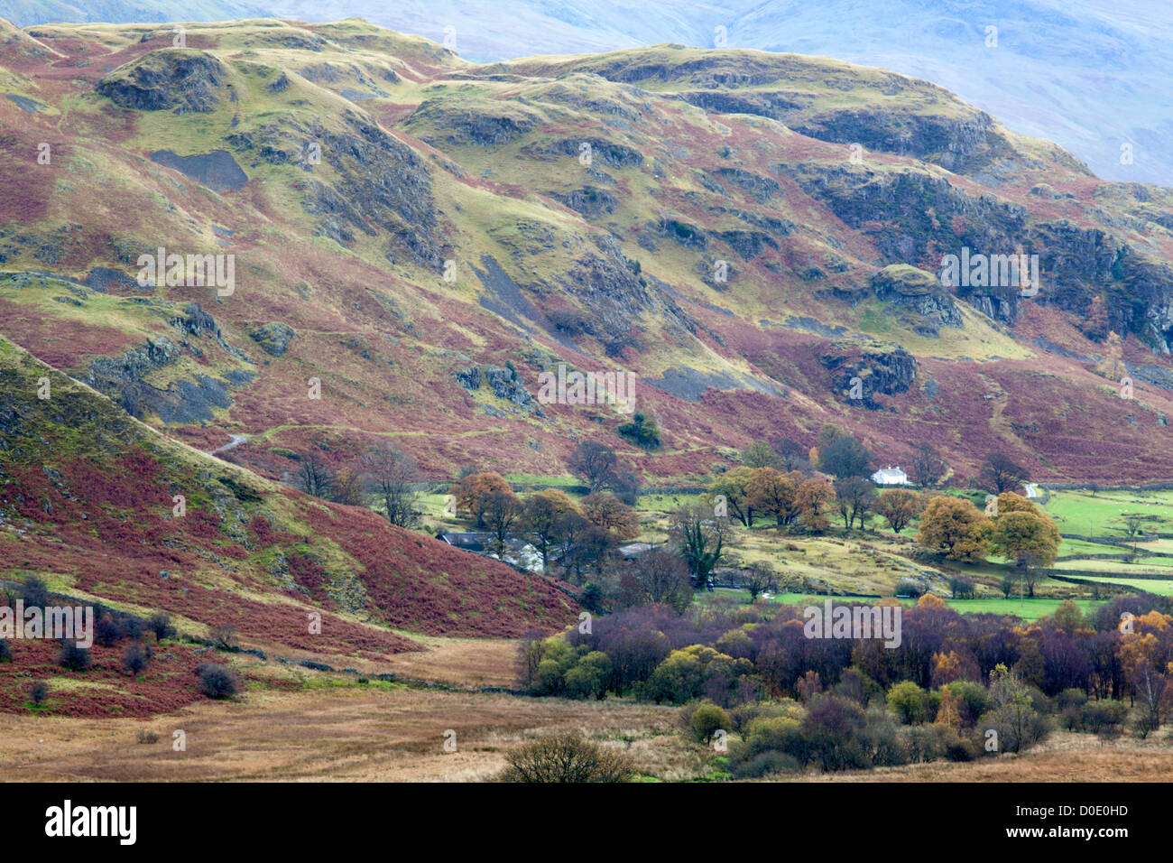 High Rigg in Autumn from Castrigg Stone Circle Keswick The Lake ...