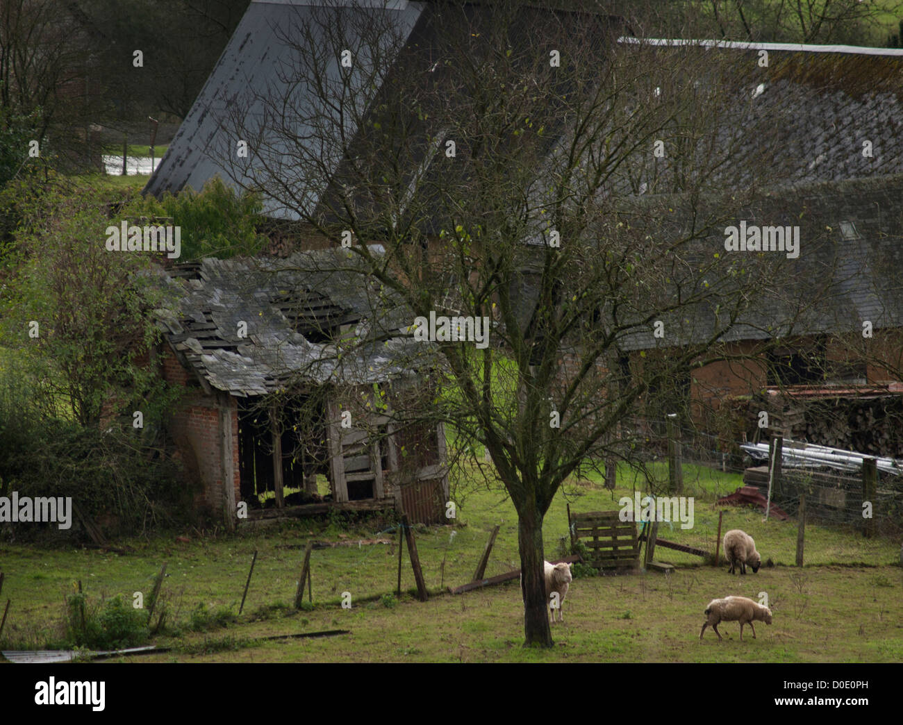 Normandy farmhouse village hi-res stock photography and images - Alamy