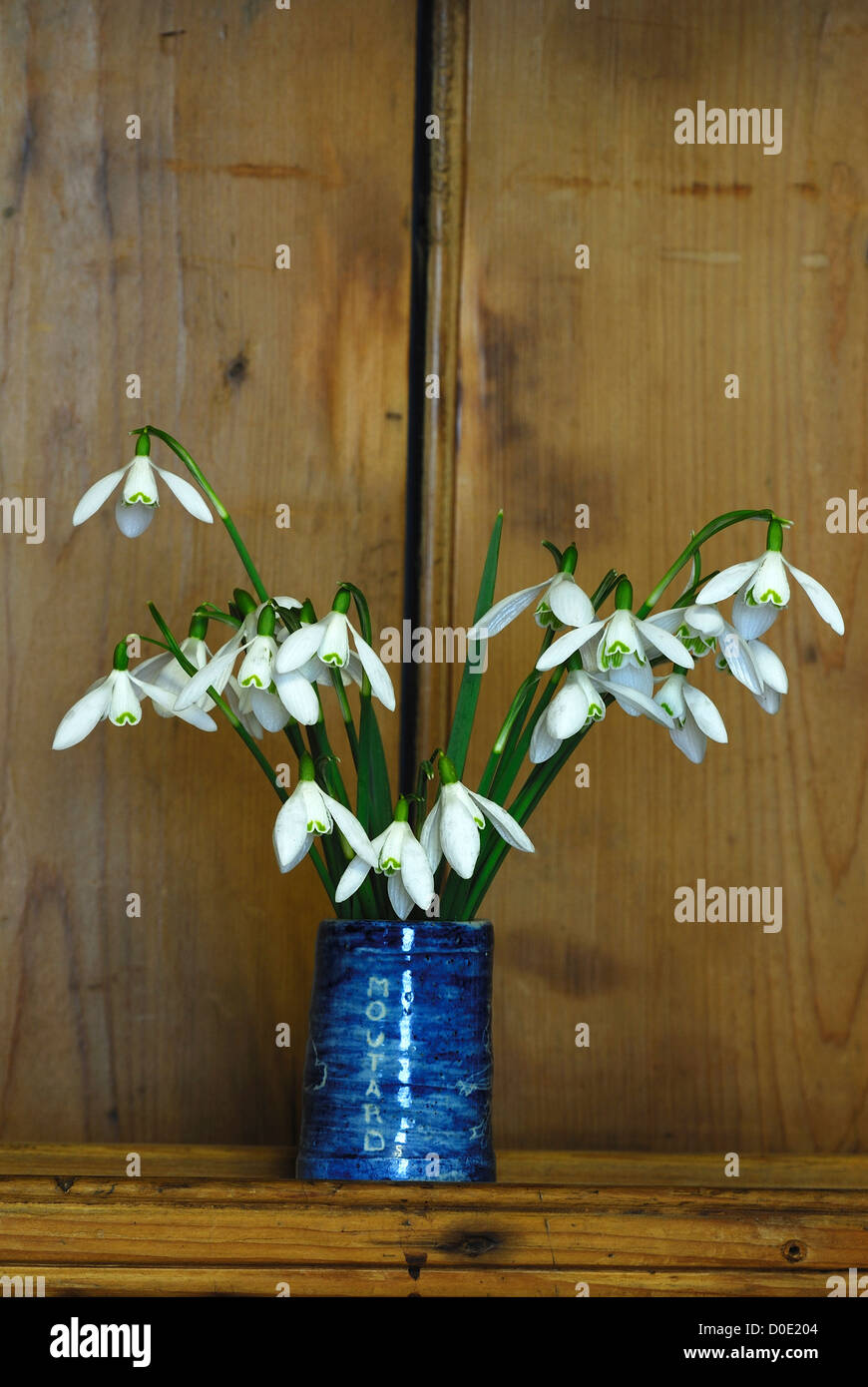 A small blue vase with white snowdrops UK Stock Photo - Alamy