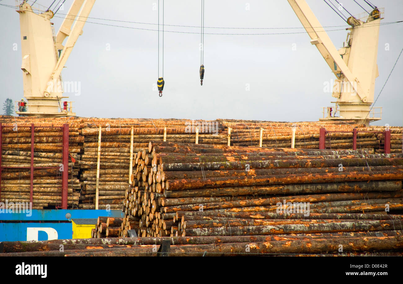 Cranes load logs for export Stock Photo - Alamy
