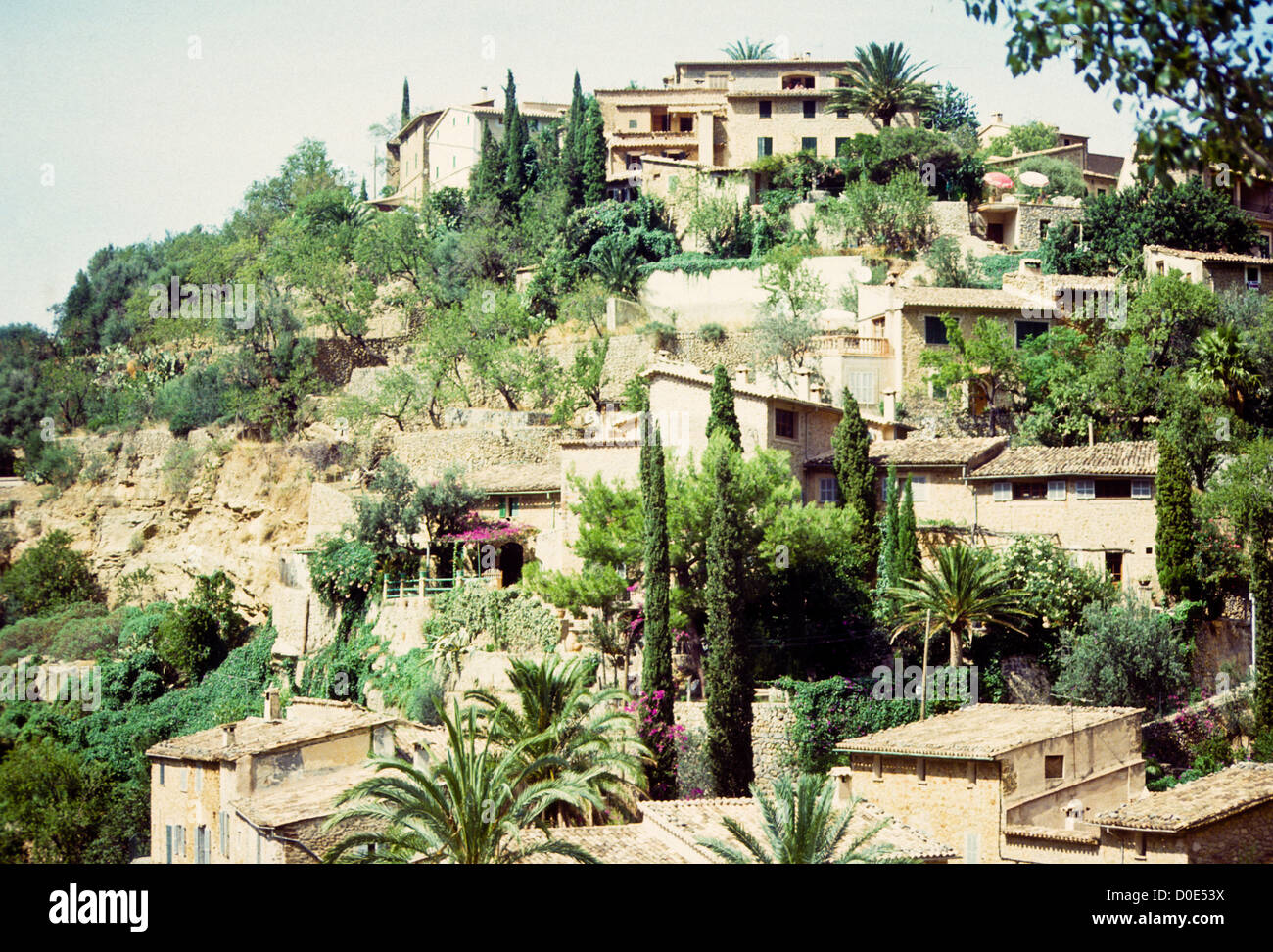 Majorca,Mallorca,Island,Villas,Gardens,Countryside,Olive Groves,Cypress ...