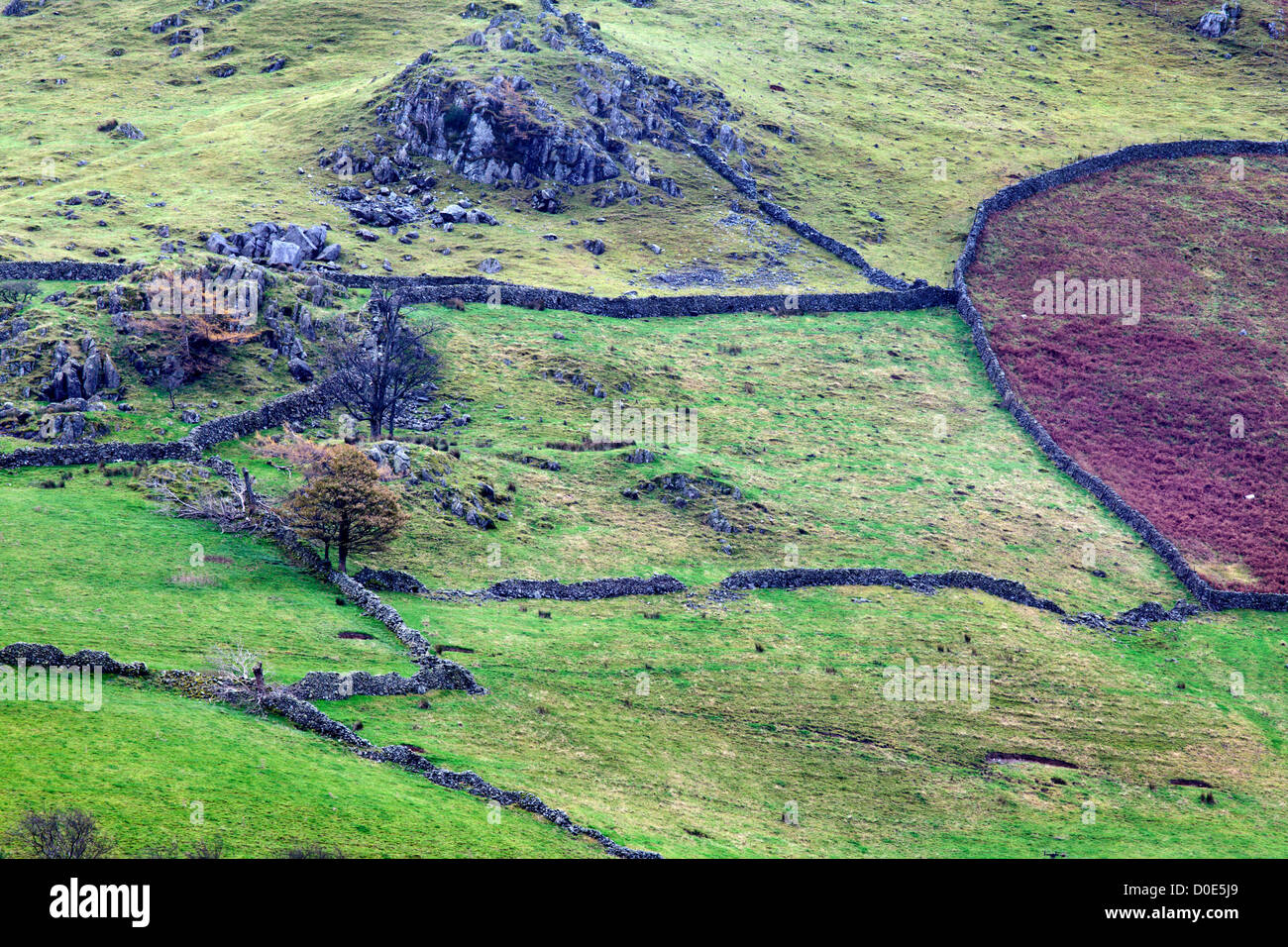 Great dodd fell hi-res stock photography and images - Alamy