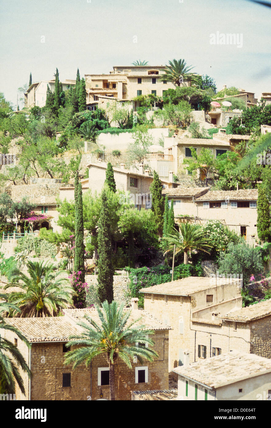 Majorca,Mallorca,Island,Villas,Gardens,Countryside,Olive Groves,Cypress ...