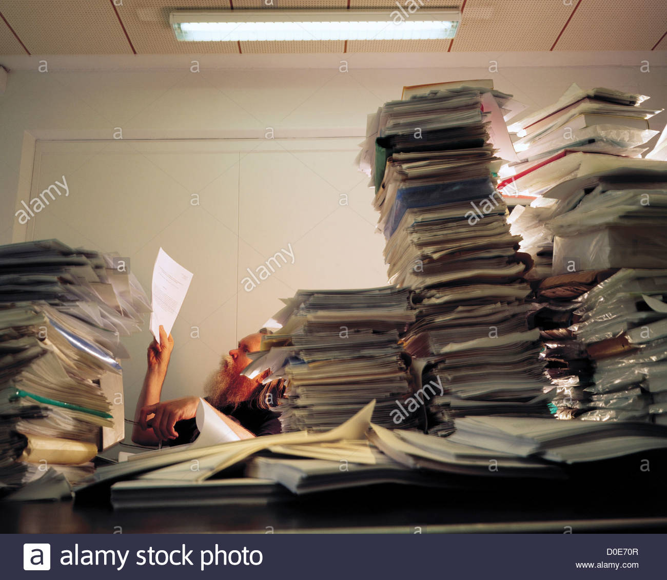 John Ellis High Resolution Stock Photography and Images - Alamy
