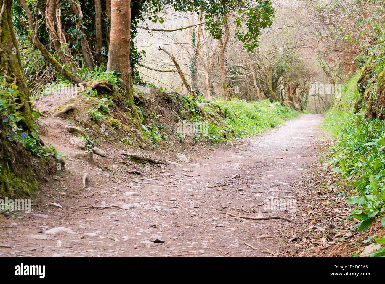 Creepy pathway hi-res stock photography and images - Alamy