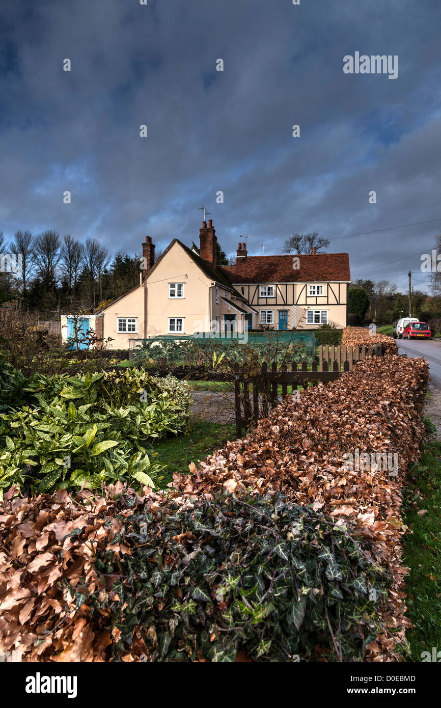 Tudor Cottage in Terling Stock Photo - Alamy
