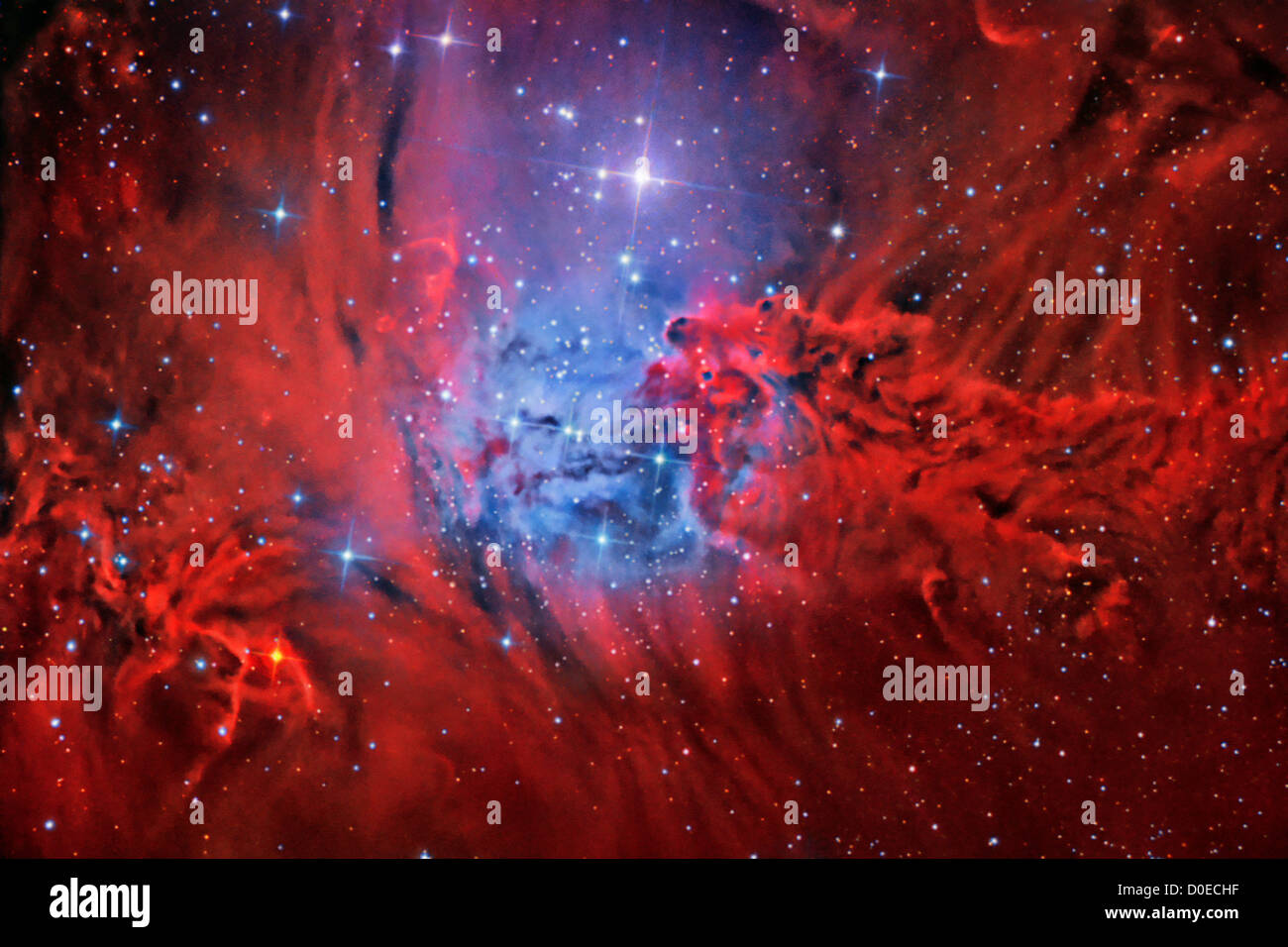 Fox fur nebula hi-res stock photography and images - Alamy