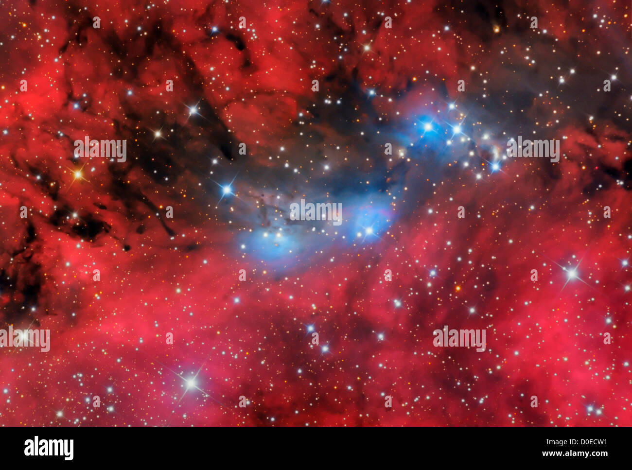 Ngc 6914 hi-res stock photography and images - Alamy