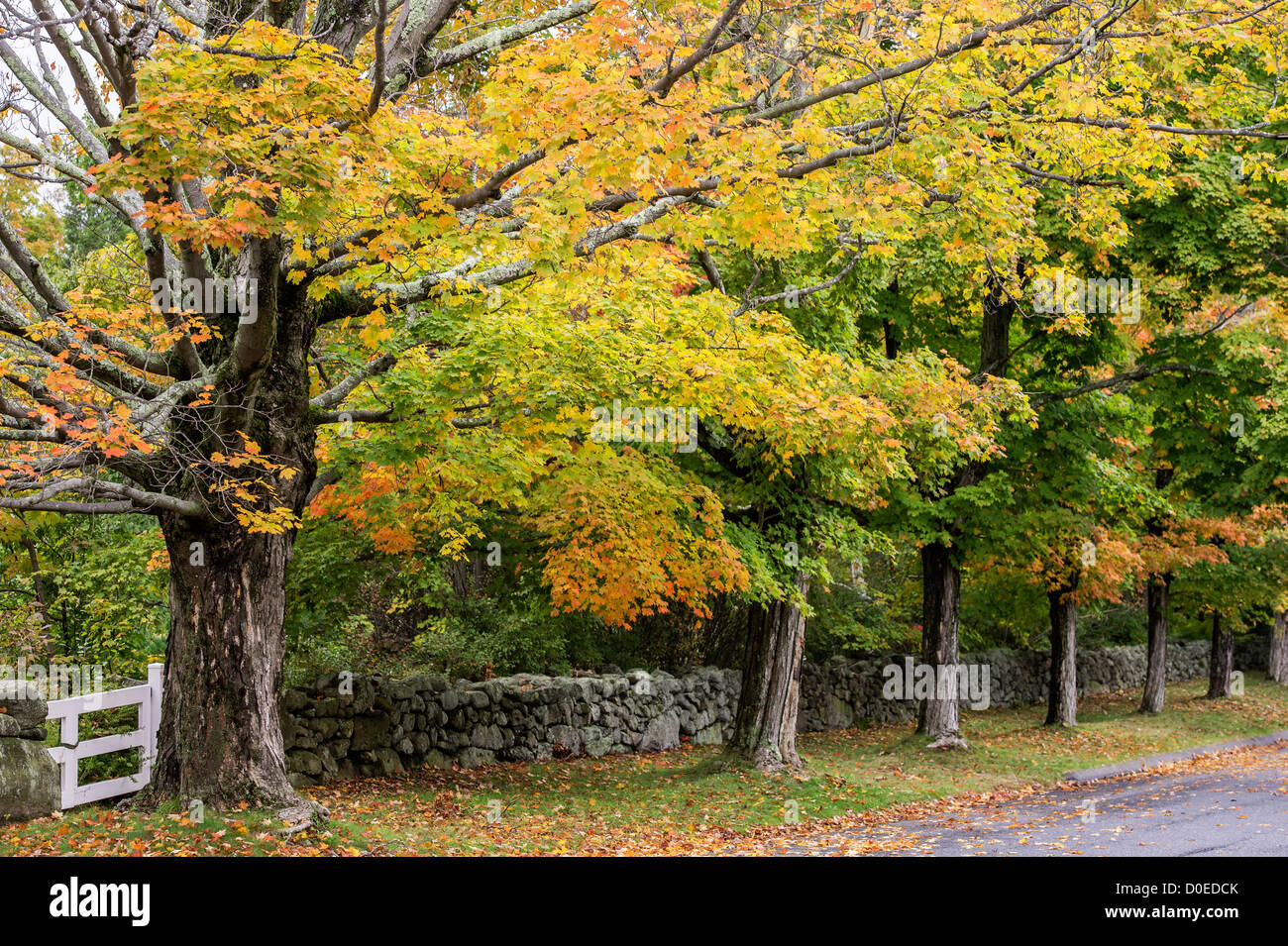 Salem Massachusetts In The Fall