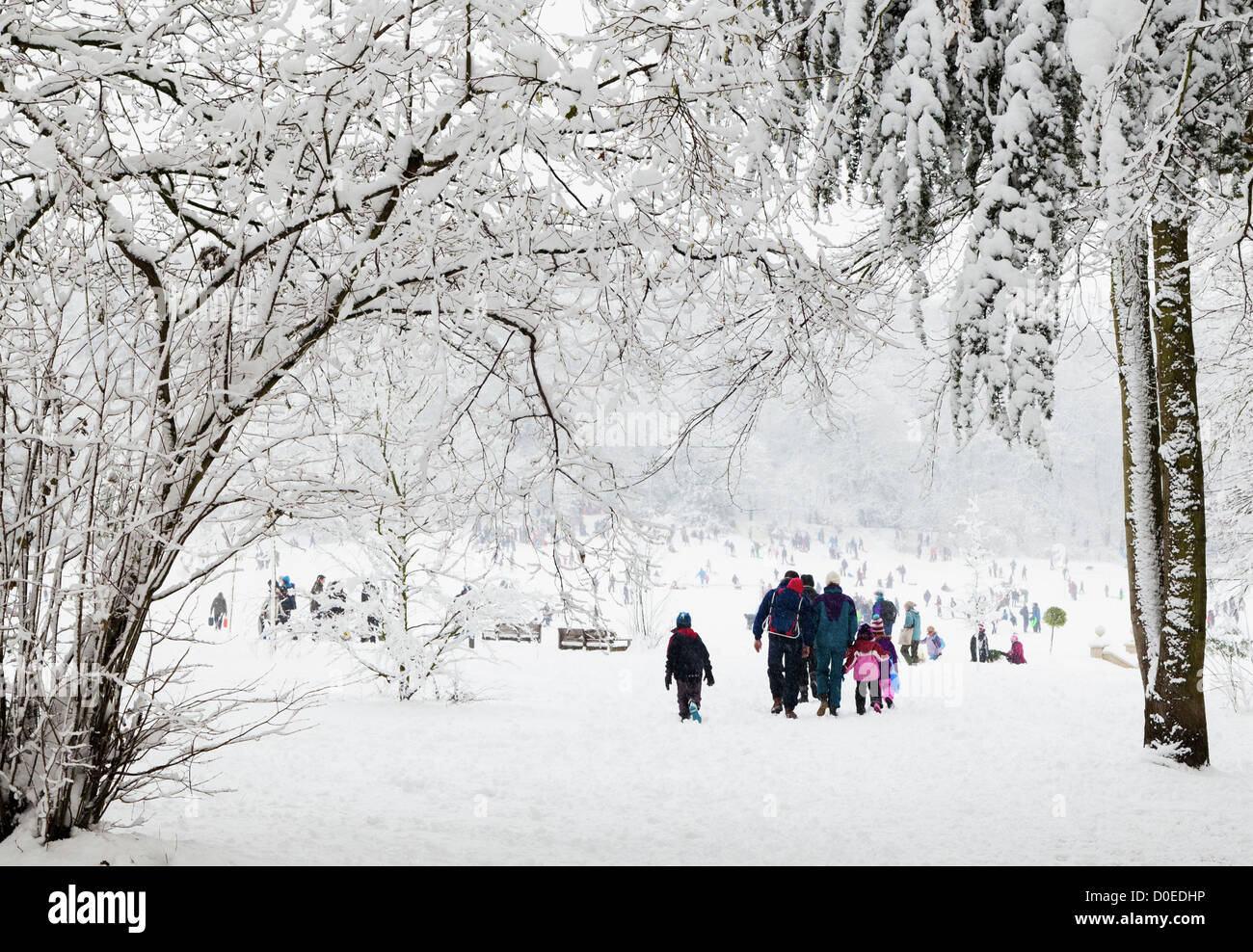 A snow scene with people enjoying winter sports in surrey Stock Photo ...