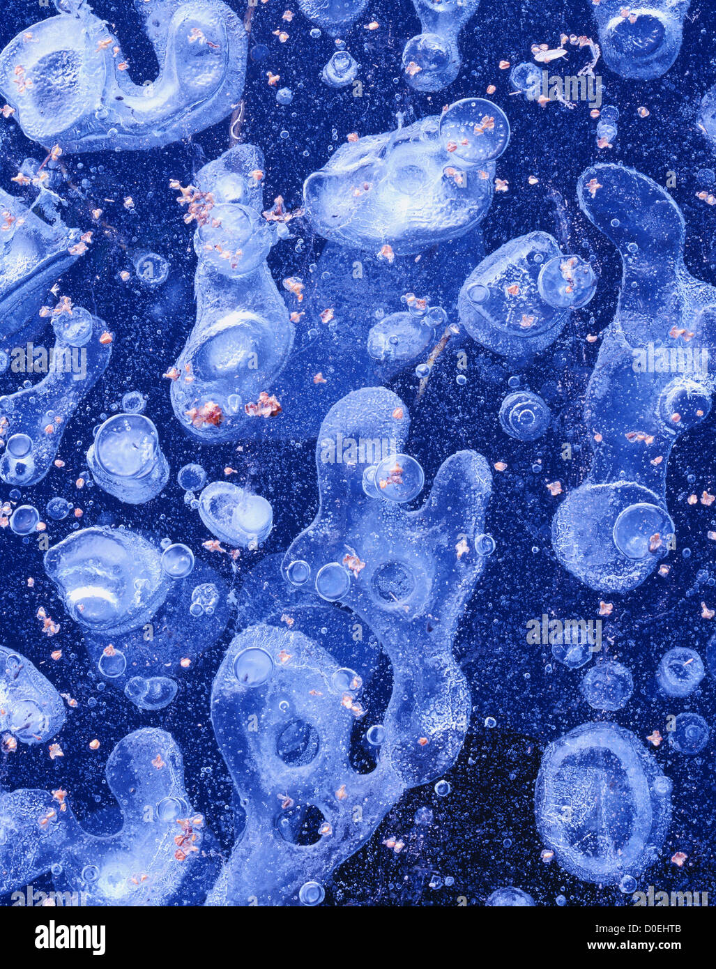 Pattern of Air Bubbles Caught in Arctic Ice, Alaska Stock Photo - Alamy
