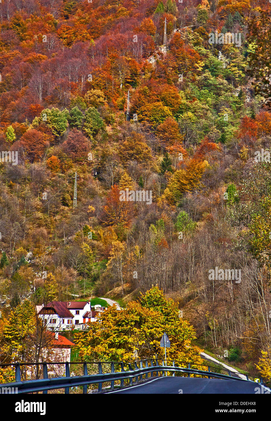 Beautiful view italian alps yellow hi-res stock photography and images ...