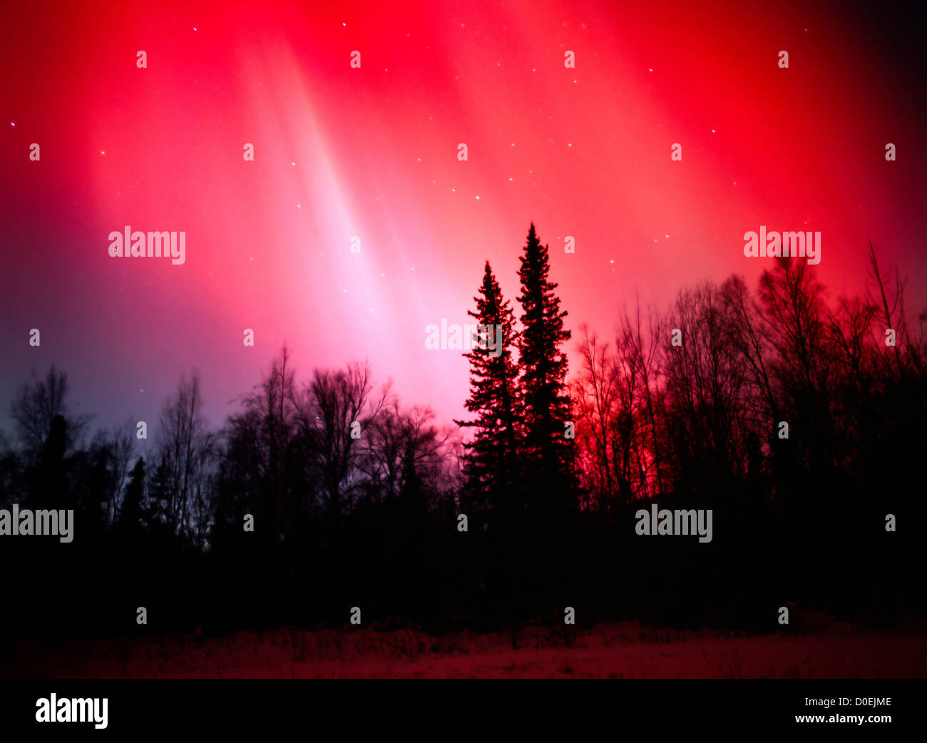 Brilliant Red Aurora over Boreal Forest, Little Susitna River Valley ...