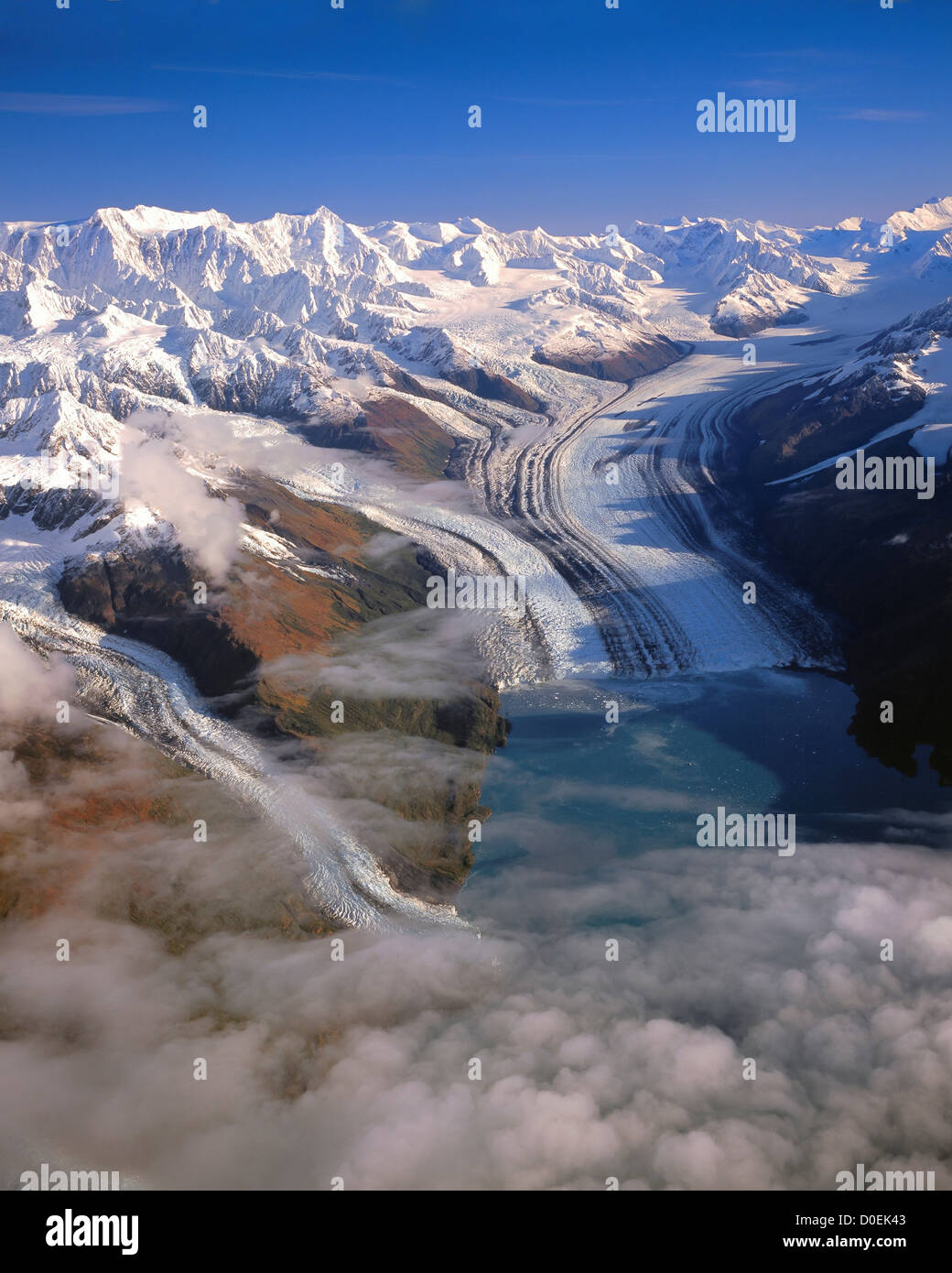 Smith and Harvard Glaciers Entering College Fjord Stock Photo - Alamy