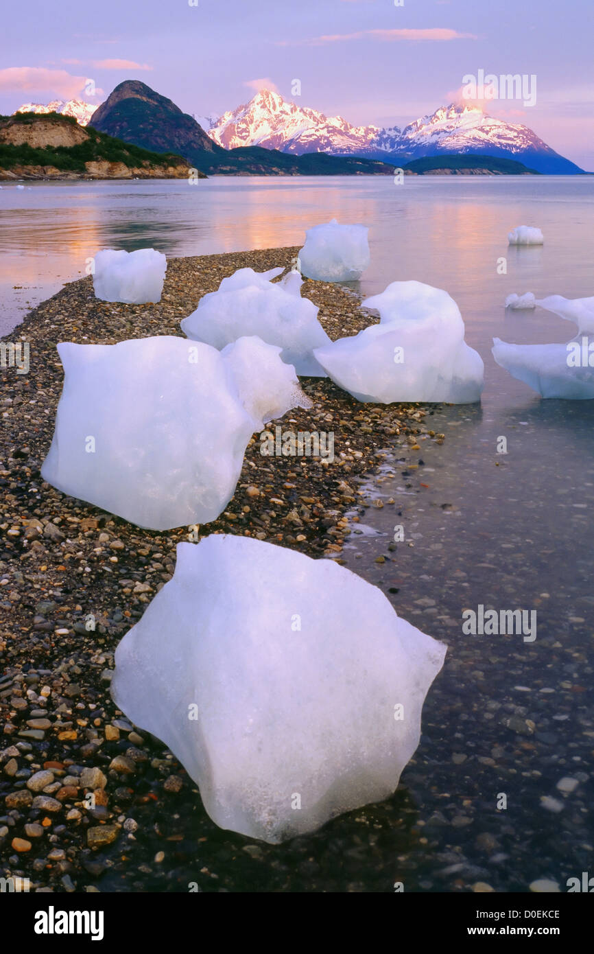 Bergy Bits in Muir Inlet Stock Photo - Alamy