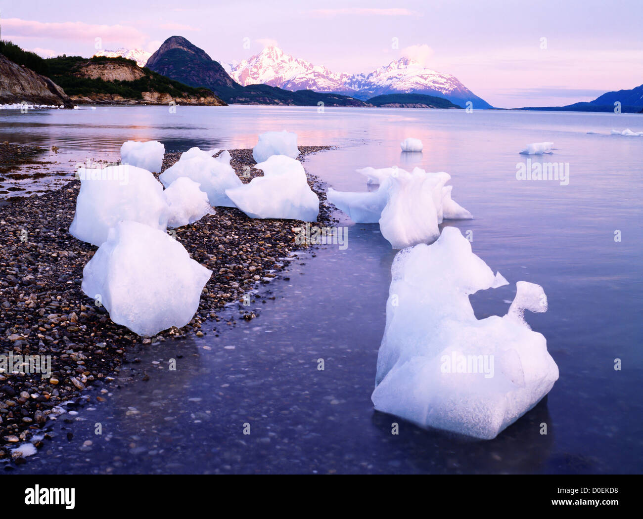 Icebergs from McBride Glacier Resting on Gravel Bar, Muir Inlet ...