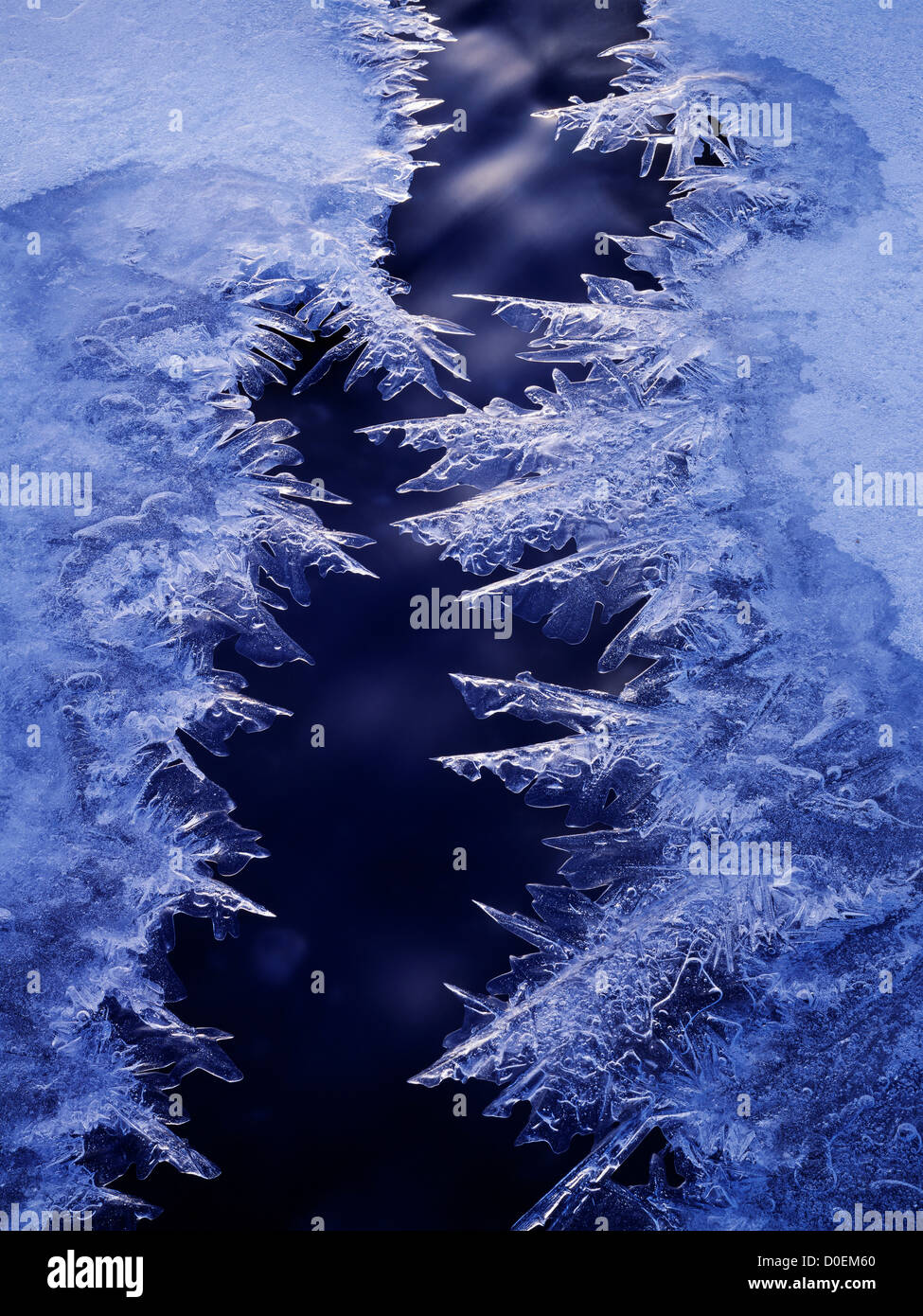 Frazzle hi-res stock photography and images - Alamy