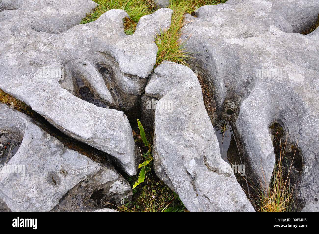Karst Landscape The Burren High Resolution Stock Photography and Images ...