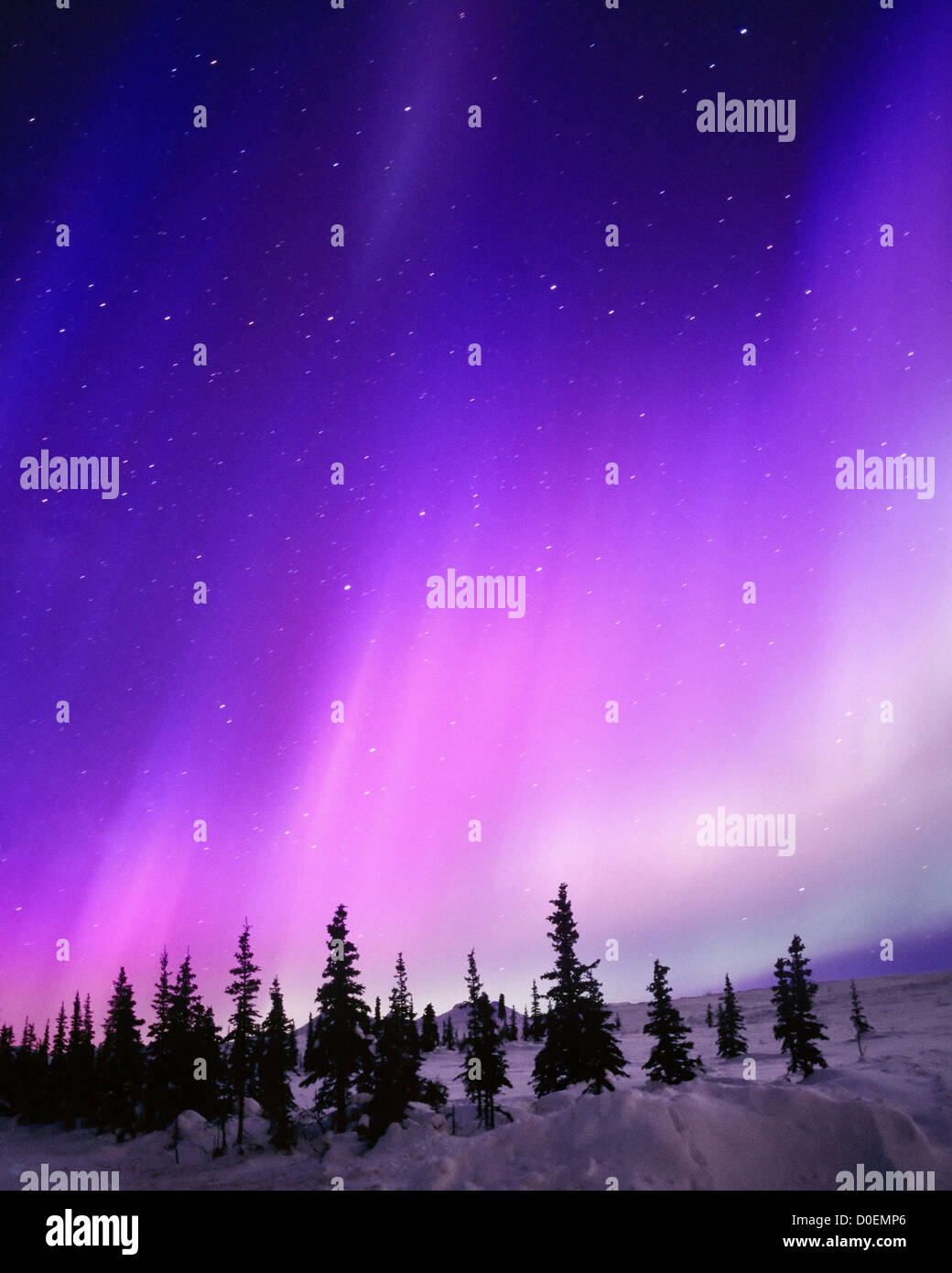 Winter Aurora Borealis Stock Photo - Alamy