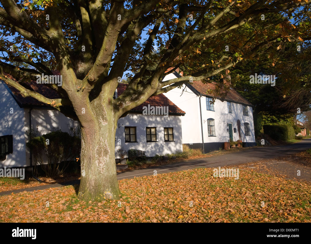 Westleton suffolk england hi-res stock photography and images - Alamy