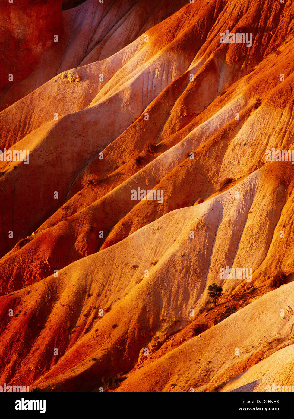 Eroding Slope in Bryce Canyon National Park Stock Photo - Alamy