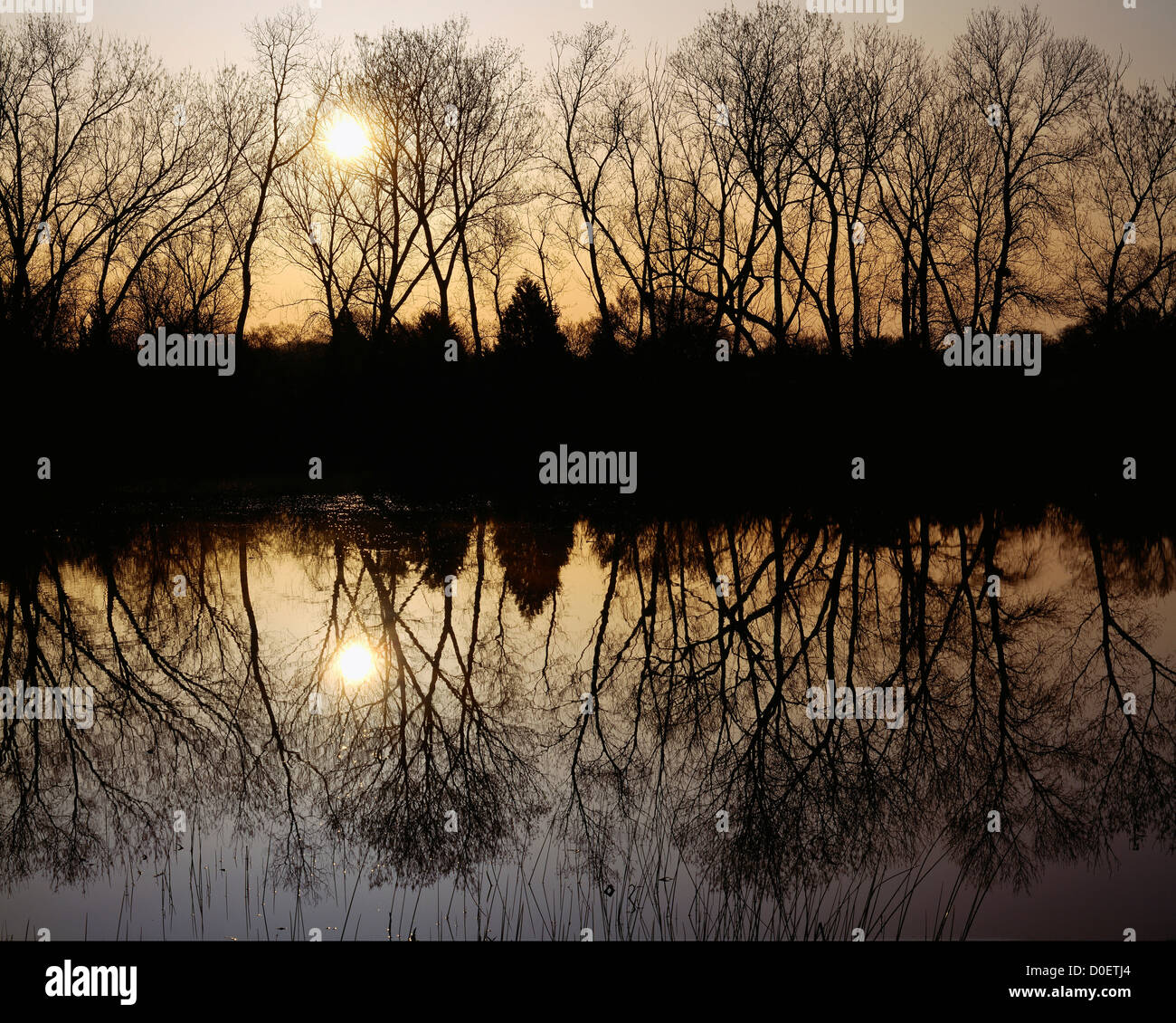 Marsh Pattern High Resolution Stock Photography and Images - Alamy