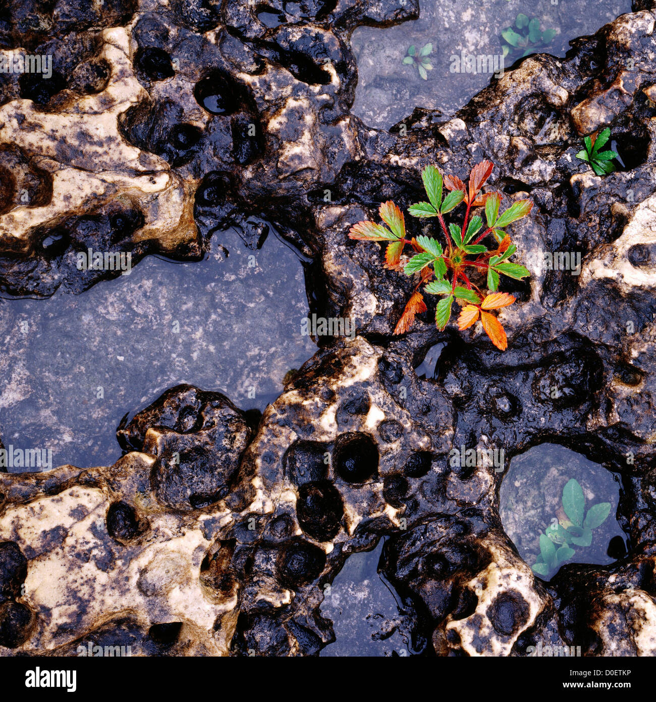 Solution lake hi-res stock photography and images - Alamy