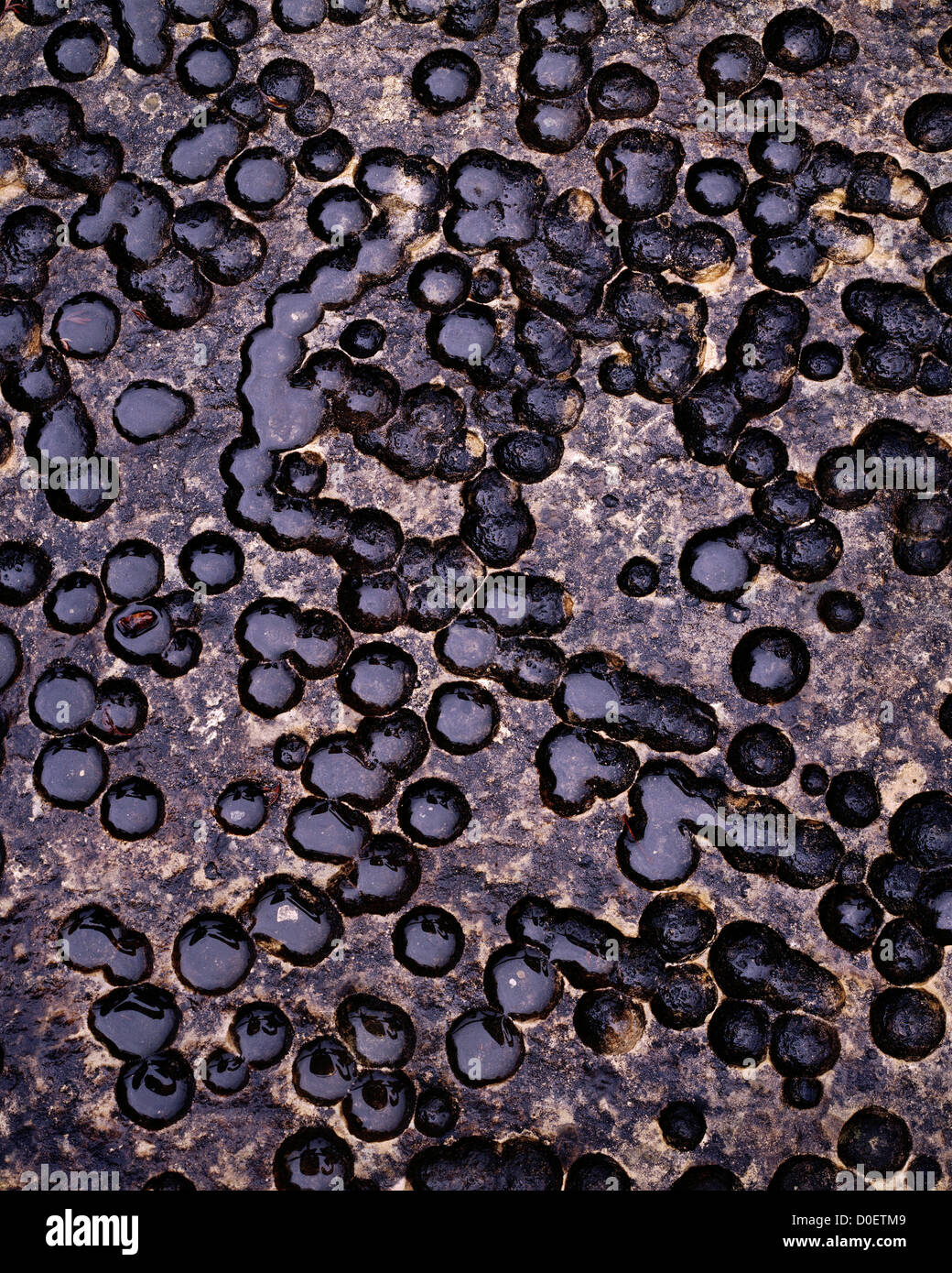 Chemically Eroded Solution Holes in Limestone Stock Photo - Alamy