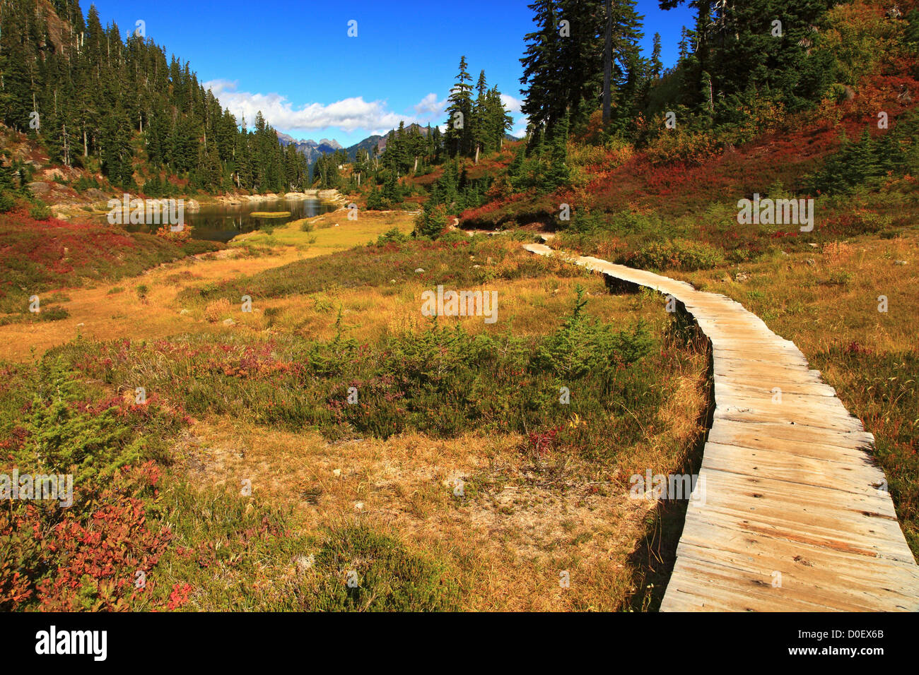 Heather meadows on the Bagley Lake Loop, on the eastern side of Mount ...