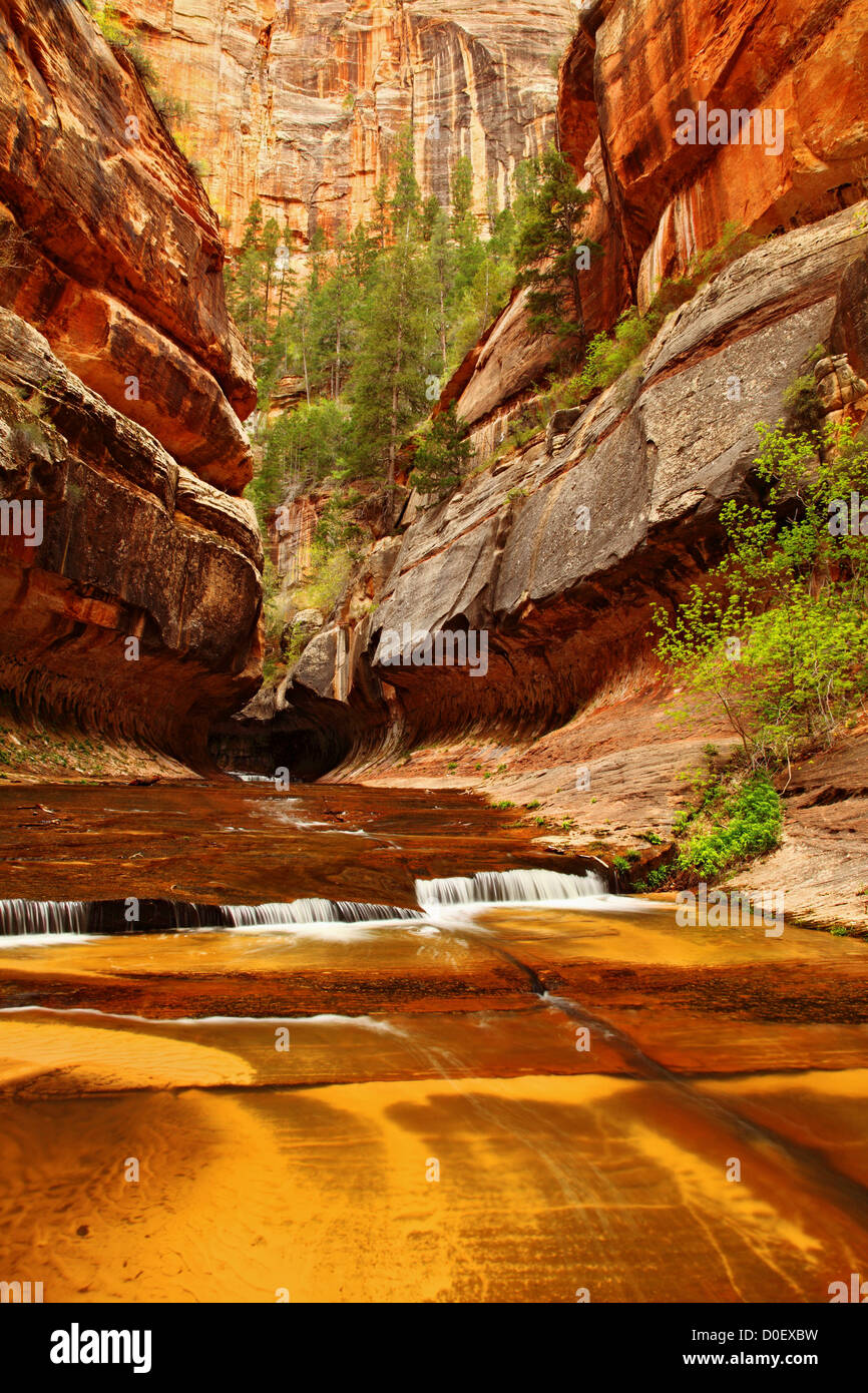 Entrance to 'The Subway', a slot canyon on the Left Fork of North Creek ...