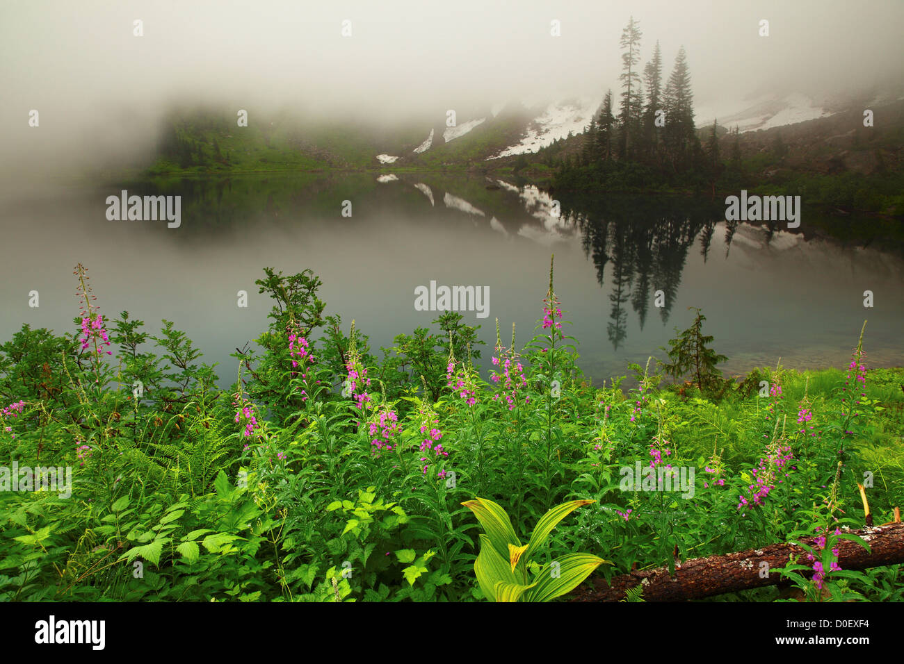 Mount pilchuck hi-res stock photography and images - Alamy
