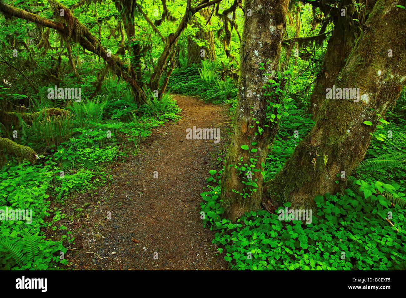 Hanging through hi-res stock photography and images - Alamy
