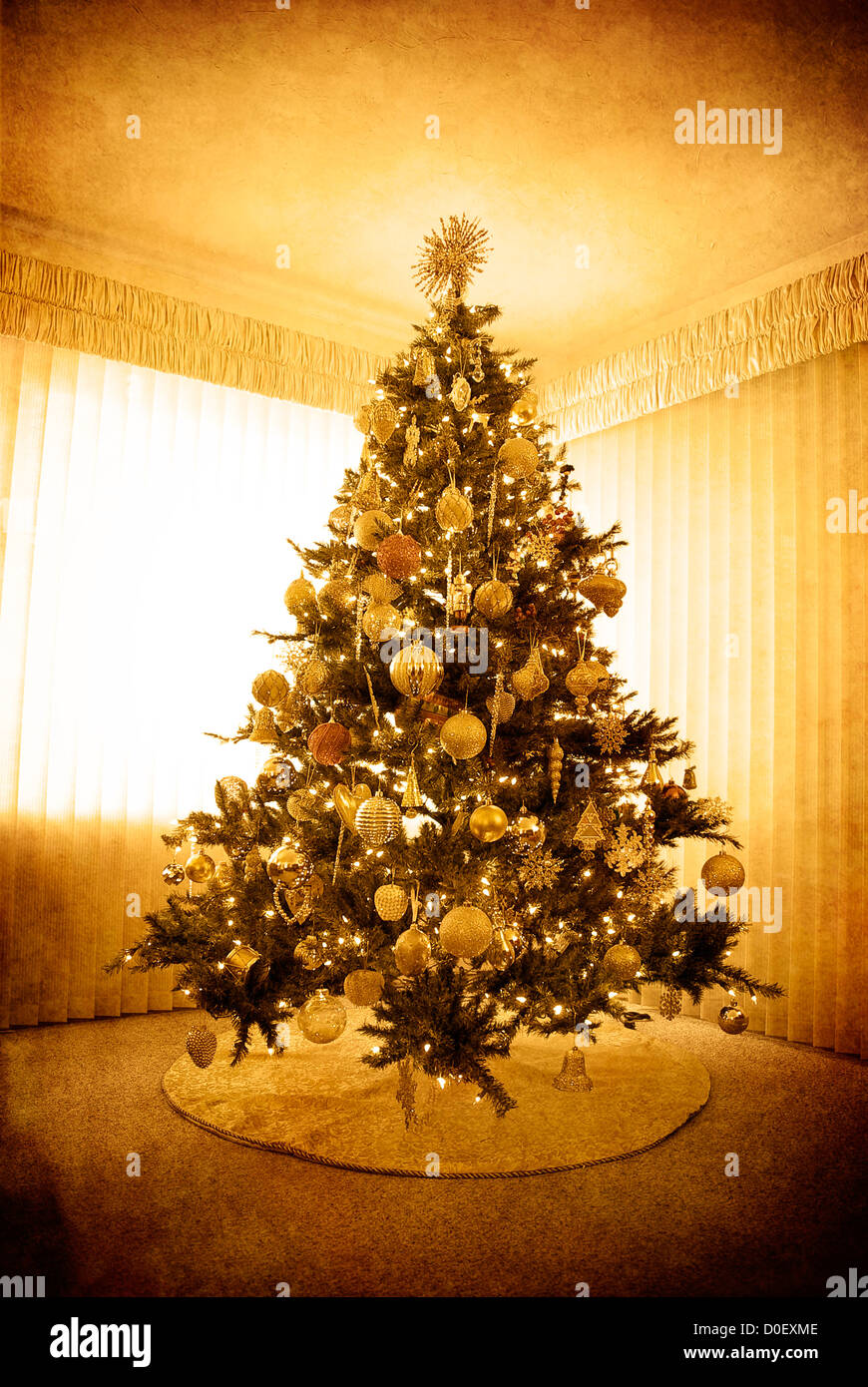 Vintage family tree hi-res stock photography and images - Alamy
