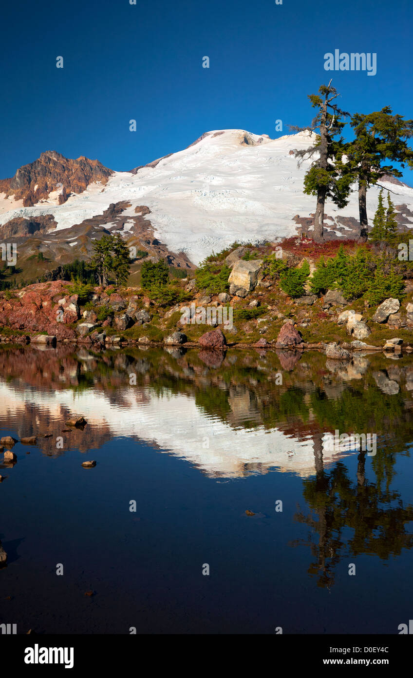 WA07831-00...WASHINGTON - Mount Baker reflecting in a small tarn on ...