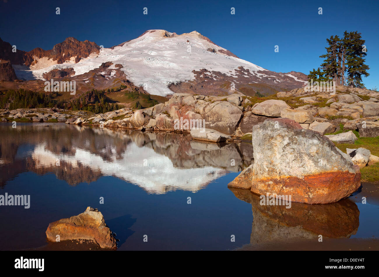WA07834-00...WASHINGTON - Mount Baker reflecting in a small tarn on ...