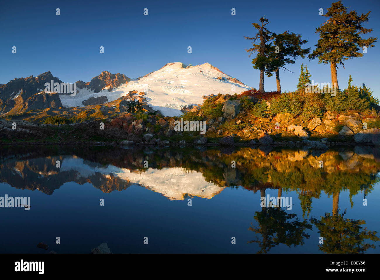 WASHINGTON - Mount Baker reflecting in a small tarn on Park Butte in ...