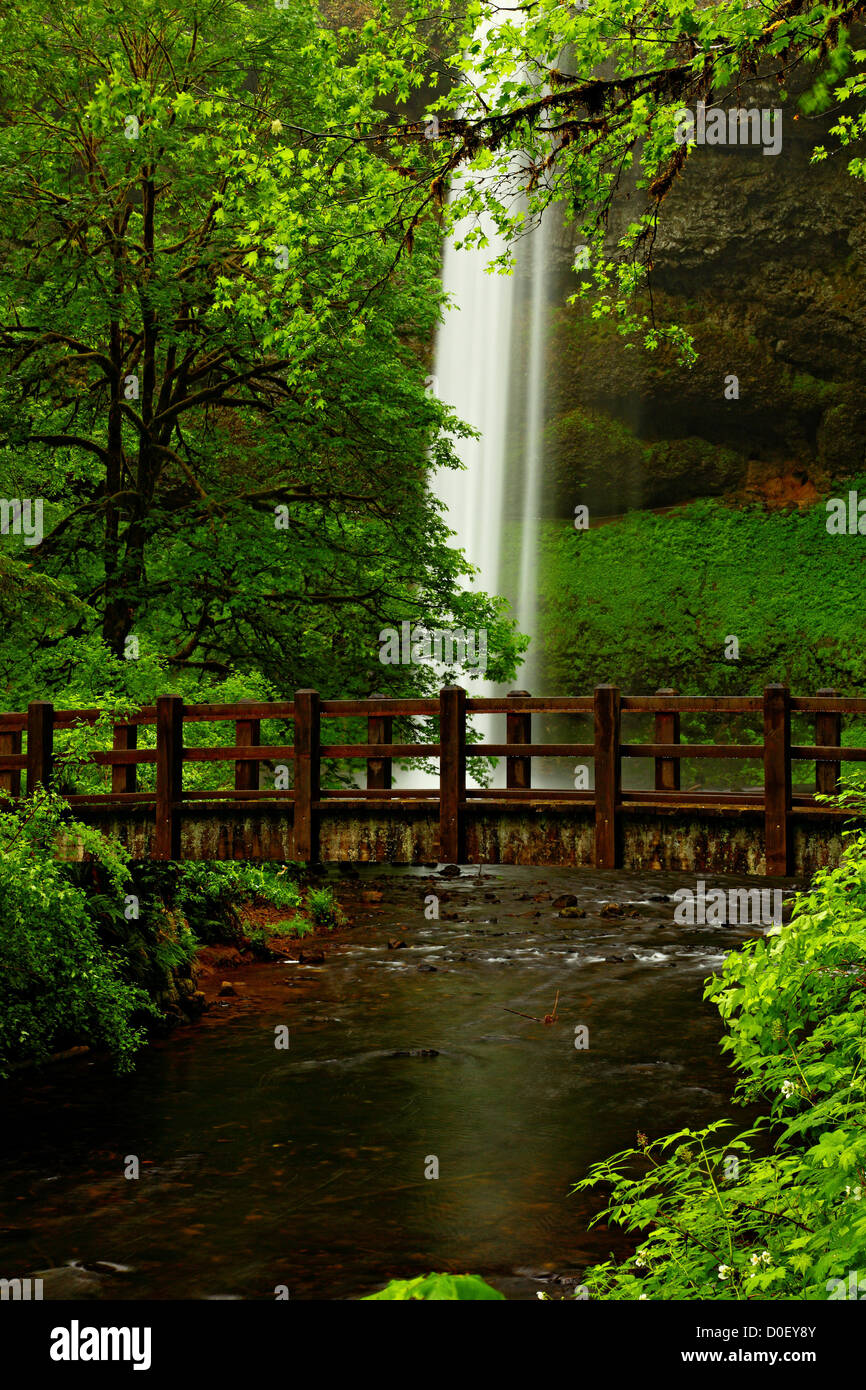 South Falls and a bridge, at Silver Falls State Park, Oregon Stock ...