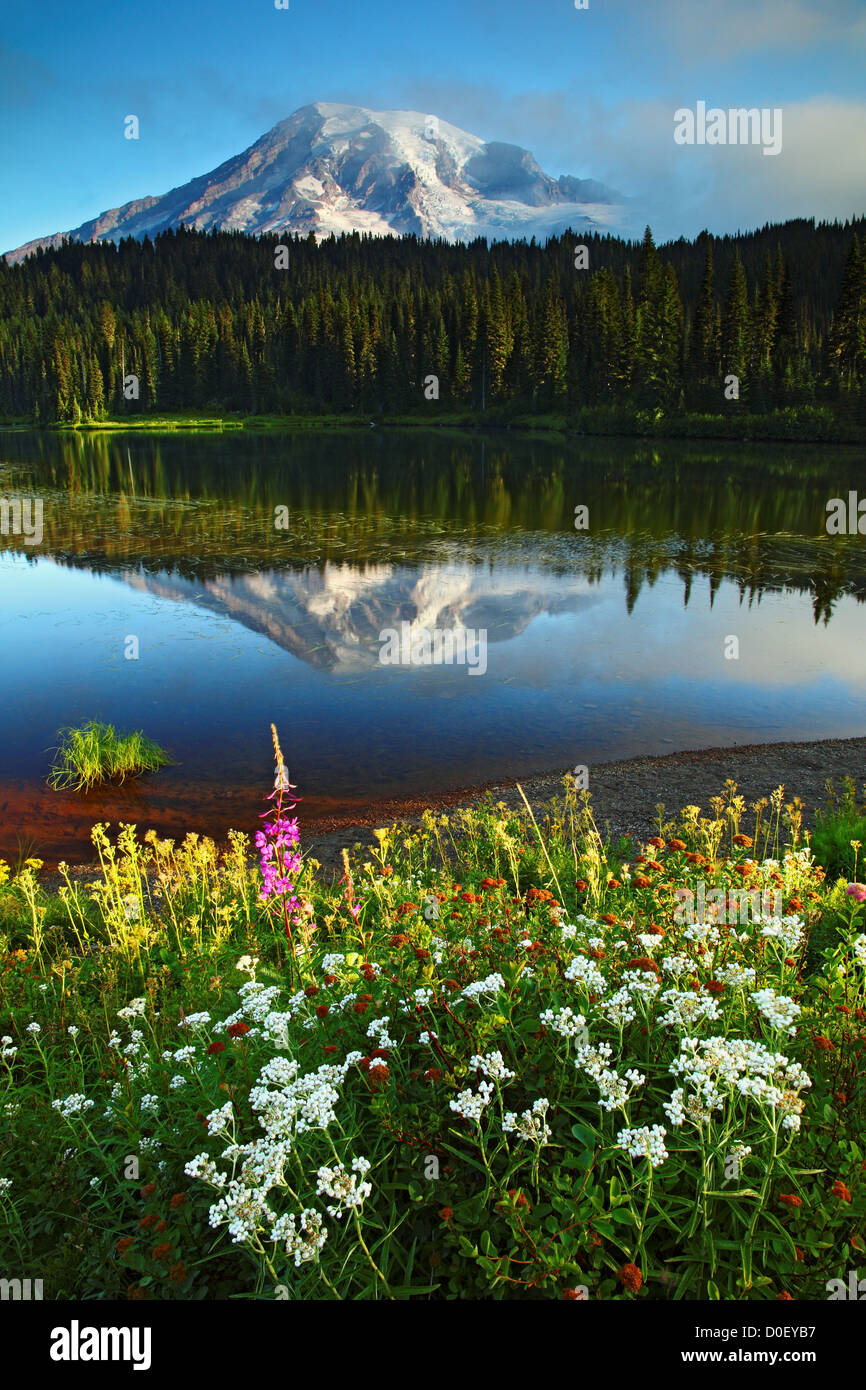 Sunrise over Mount Rainier reflected in Reflection Lake, Mount Rainier ...