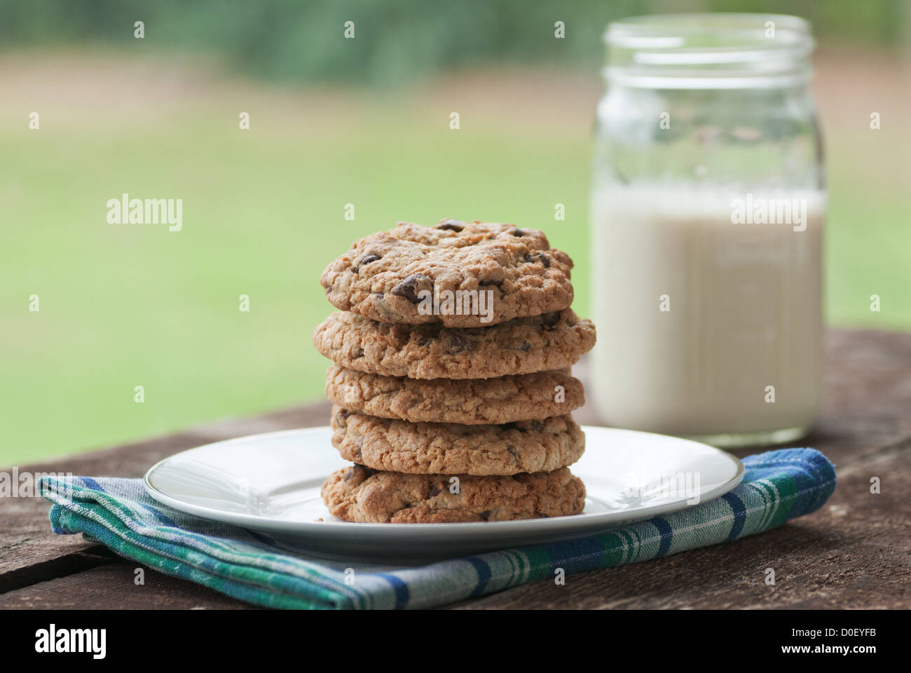 Homemade cookies fresh out of the oven Stock Photo - Alamy