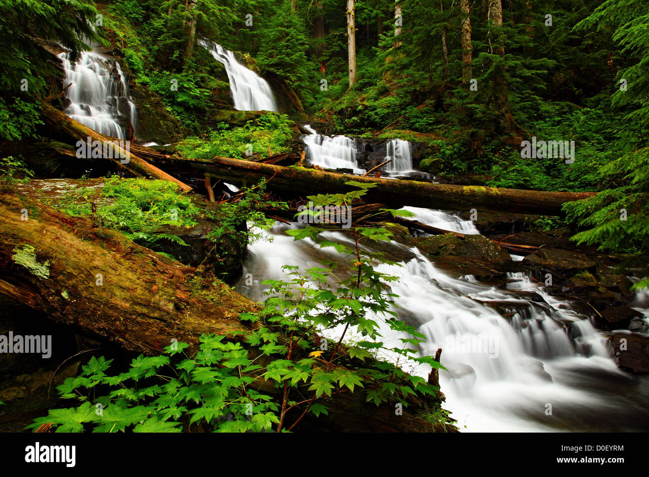 Waterfalls on Twentytwo Creek, in Mount Baker-Snoqualmie National ...