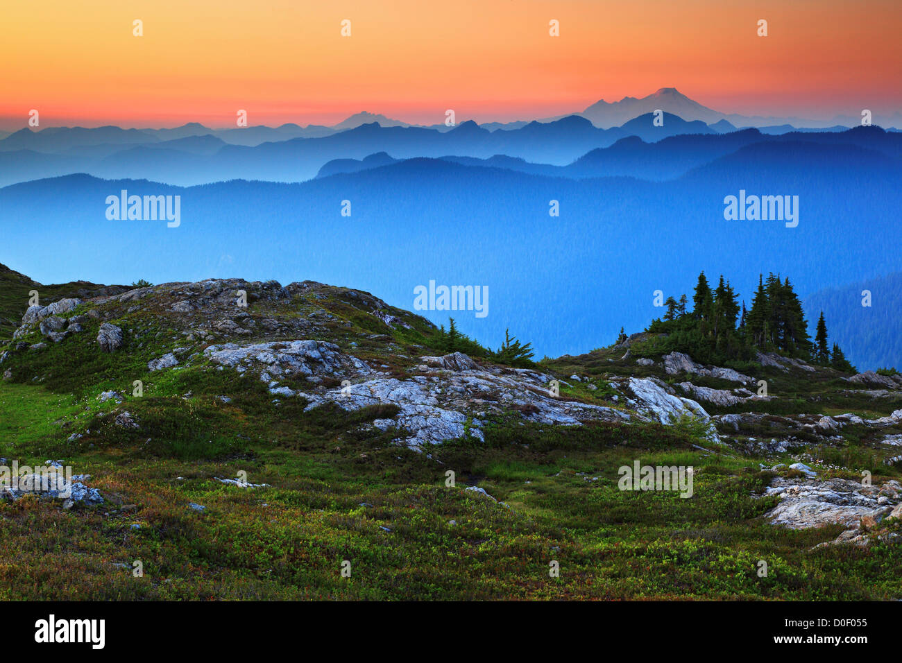 Sunset looking north across Cascades Goat Flats on Whitehorse Mountain ...