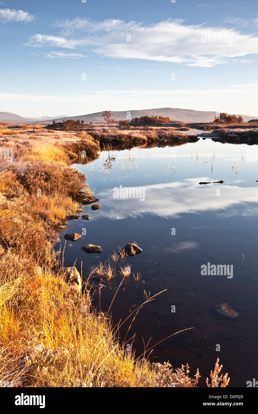 Ba scotland hi-res stock photography and images - Alamy