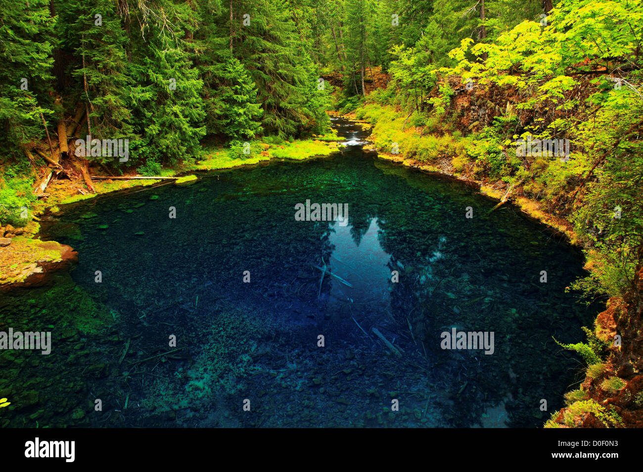 The Tamolitch Pool on McKenzie River is clear blue pool caused ...
